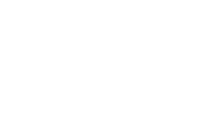 T-Net International | Finish Project Zero